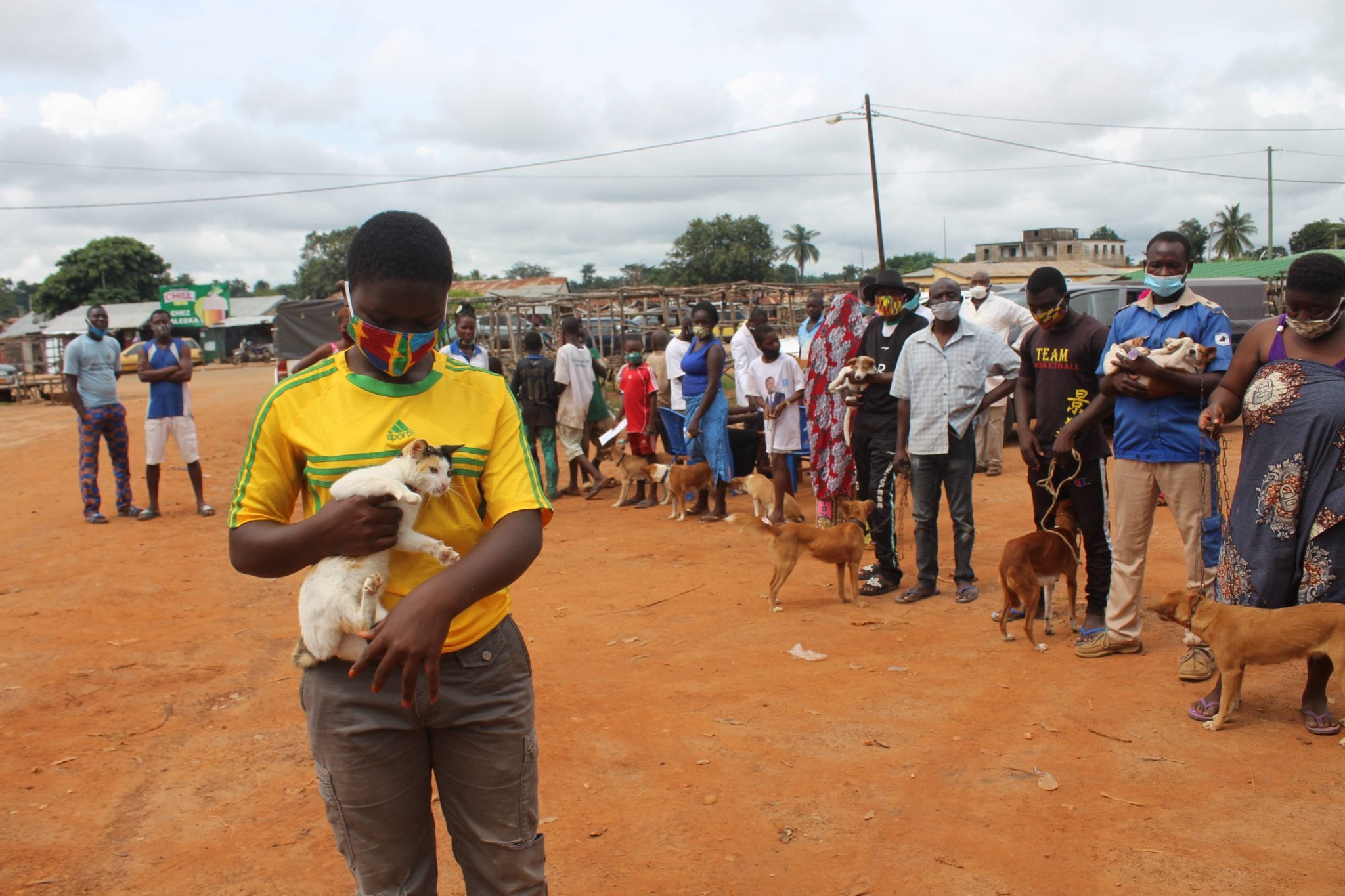 Plus de 100 000 doses de vaccin antirabique pour la campagne de lutte ...